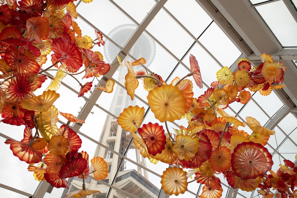 Polar Bears Across the Country Welcome President Safa Zaki | Bowdoin ...