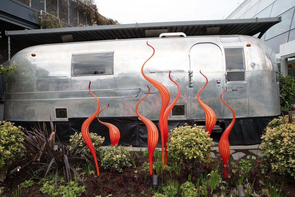 Polar Bears Across the Country Welcome President Safa Zaki | Bowdoin ...
