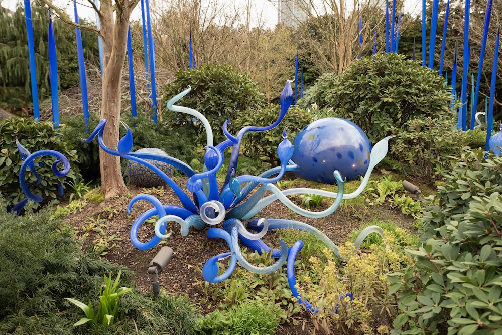 Polar Bears Across the Country Welcome President Safa Zaki | Bowdoin ...