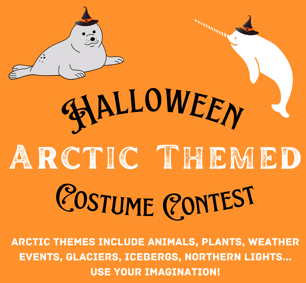 Peary–MacMillan Arctic Museum | Bowdoin College