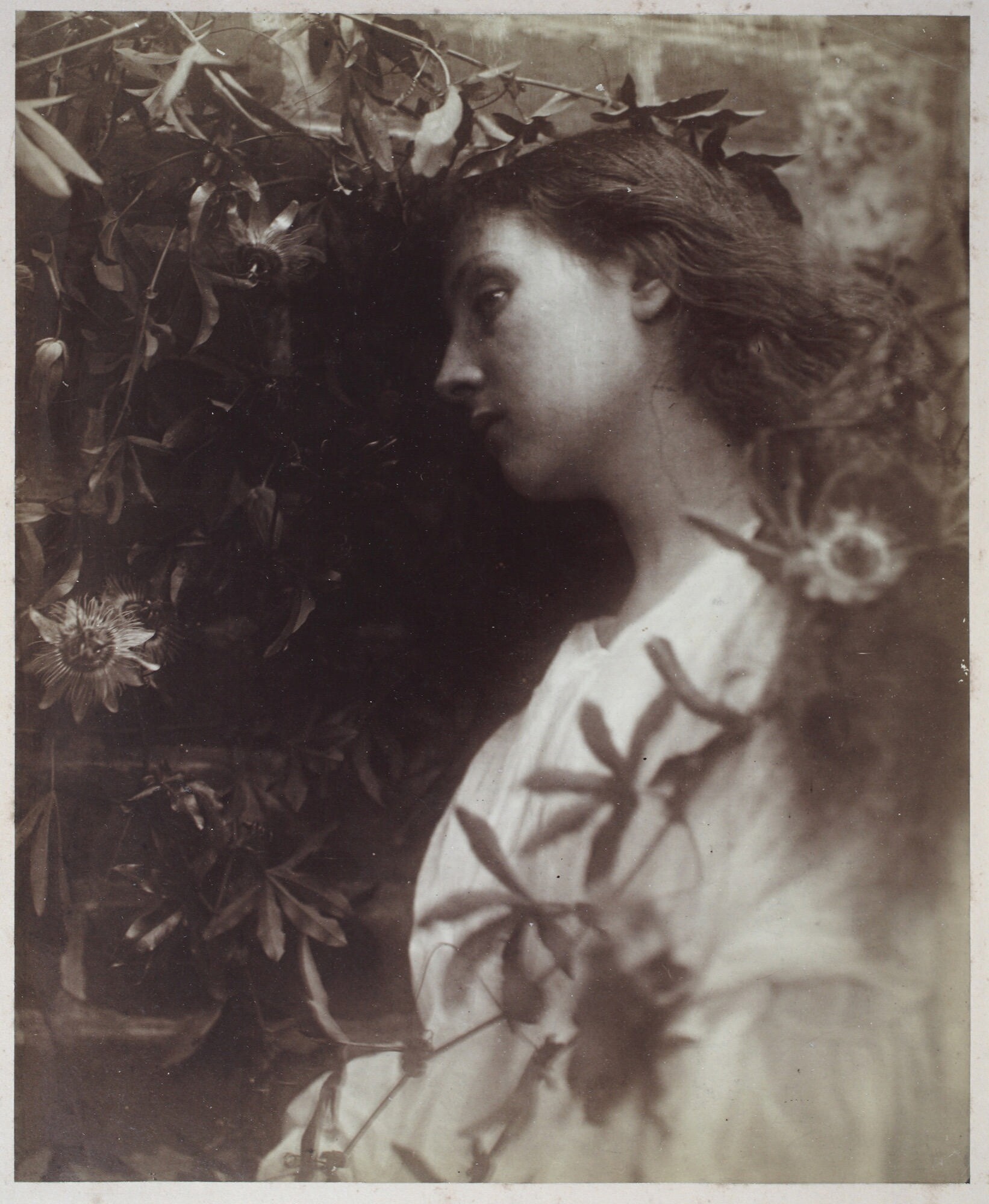 Museum of Art | Bowdoin College