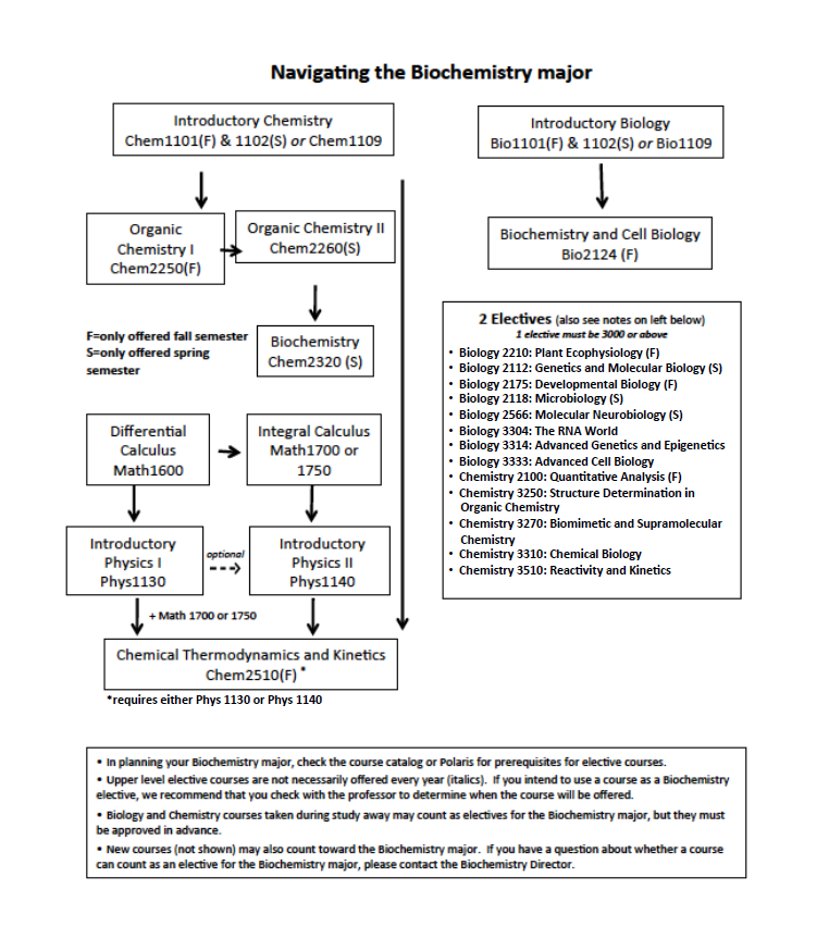 Navigating the Biochemistry Major | Bowdoin College