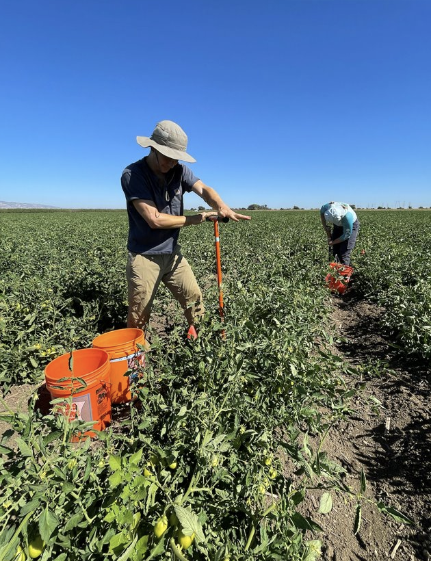 Promoting Ecological Diversification and Healthy Soil Ecosystems ...
