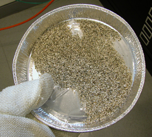 Buoy | Bowdoin College