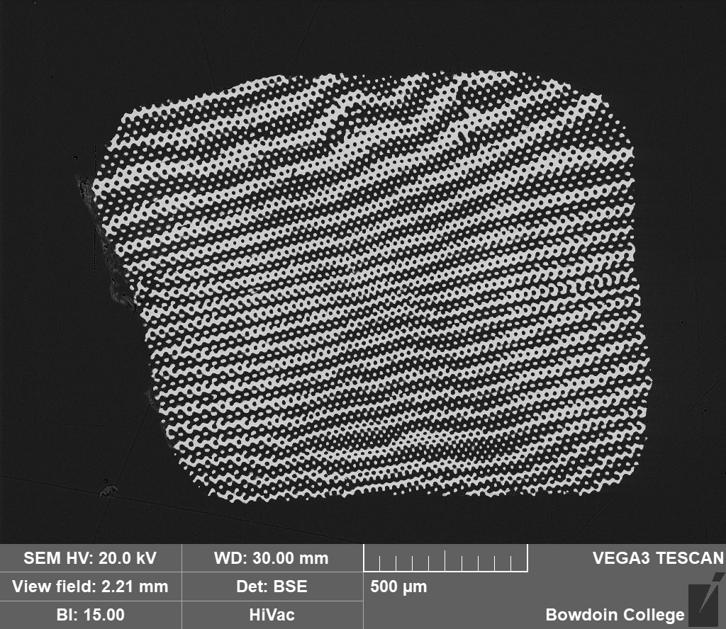 Scanning Electron Microscope (SEM) | Bowdoin College