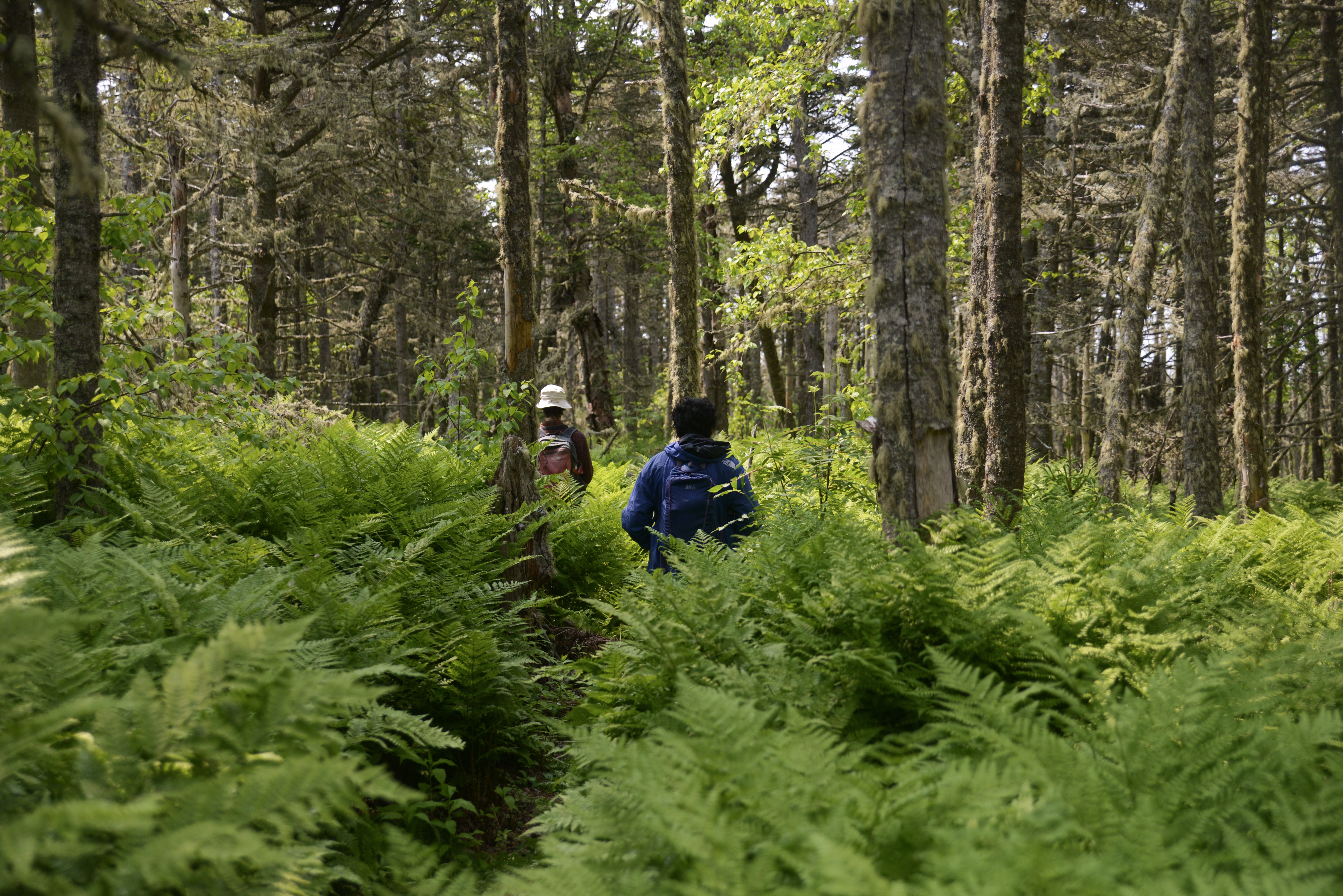 Kent Island | Bowdoin College