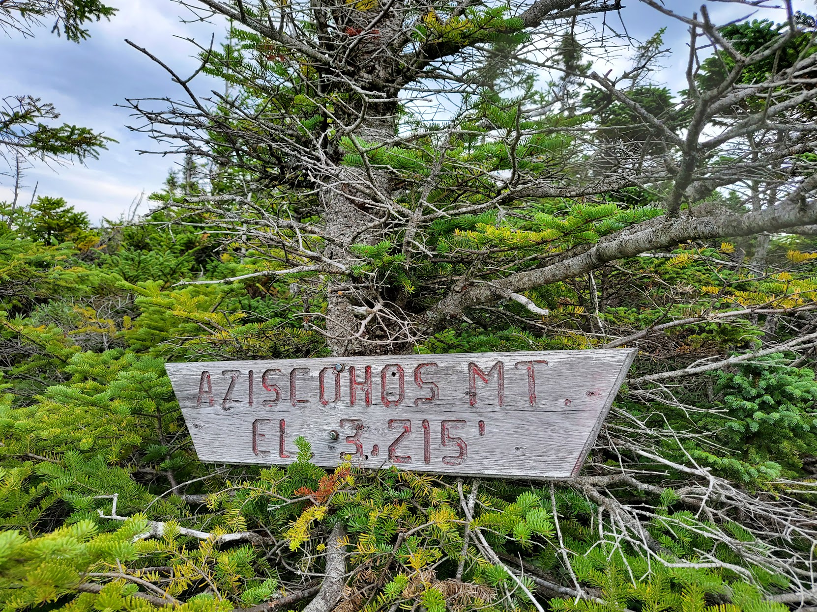 Aziscohos Valley | Bowdoin College