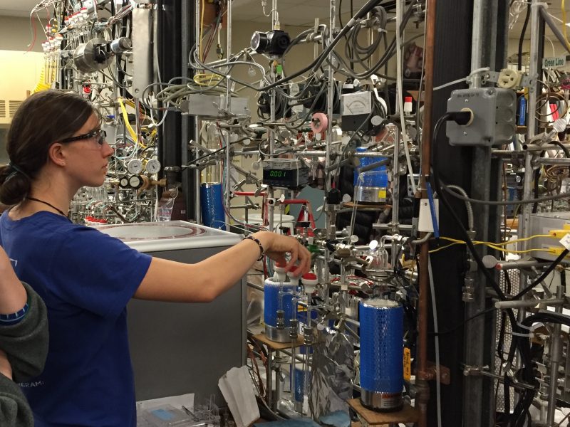 Bowdoin's LaVigne Named Frontiers of Science Fellow | Bowdoin College