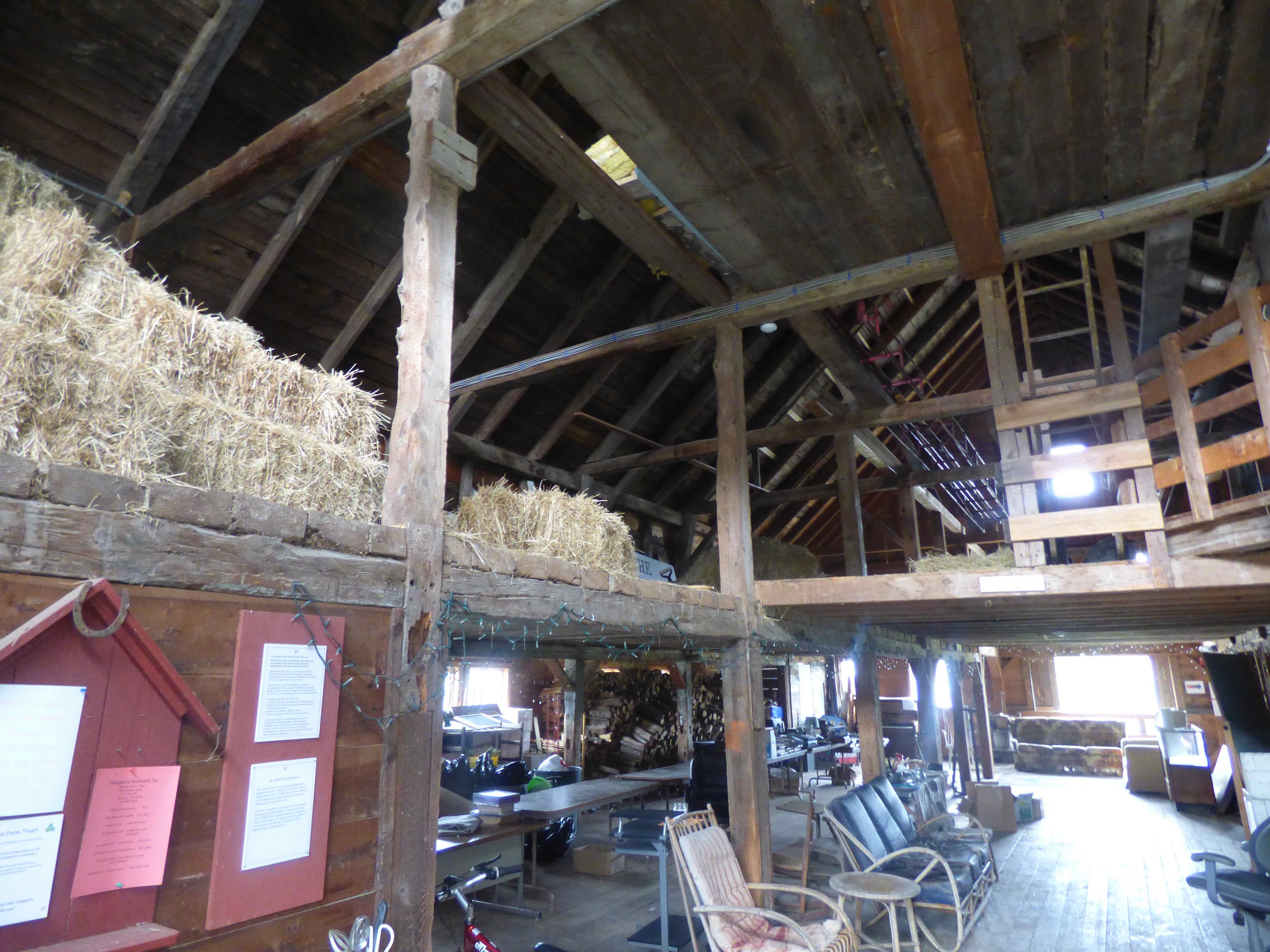 A Morning at Morris Farm, with an Orientation Trip | Bowdoin College