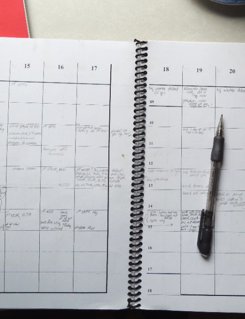 The Naturalist's Notebook: Making Everyday Connections to Nature ...