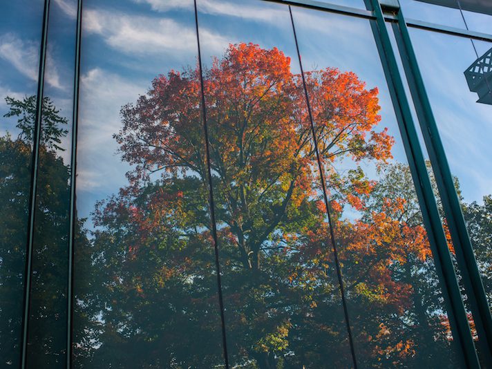 Homecoming 2018 Brings Alumni Together for a Maine Autumn | Bowdoin College