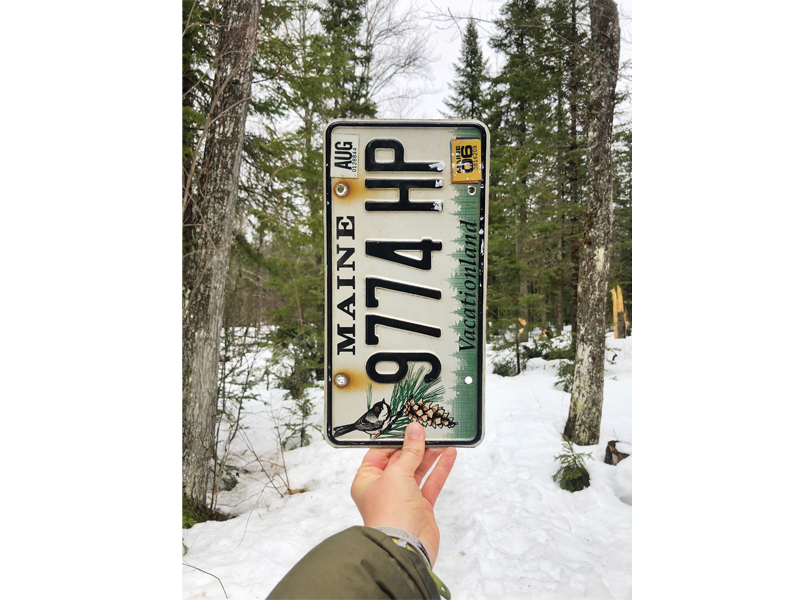 Artist Mariah Reading ’16 Turns Litter into Landscapes | Bowdoin College