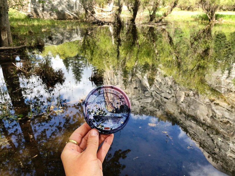 Artist Mariah Reading ’16 Turns Litter into Landscapes | Bowdoin College
