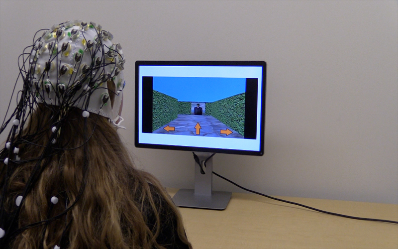 A Sense of Direction: Neuroscience Project Analyzes Spatial Memory ...