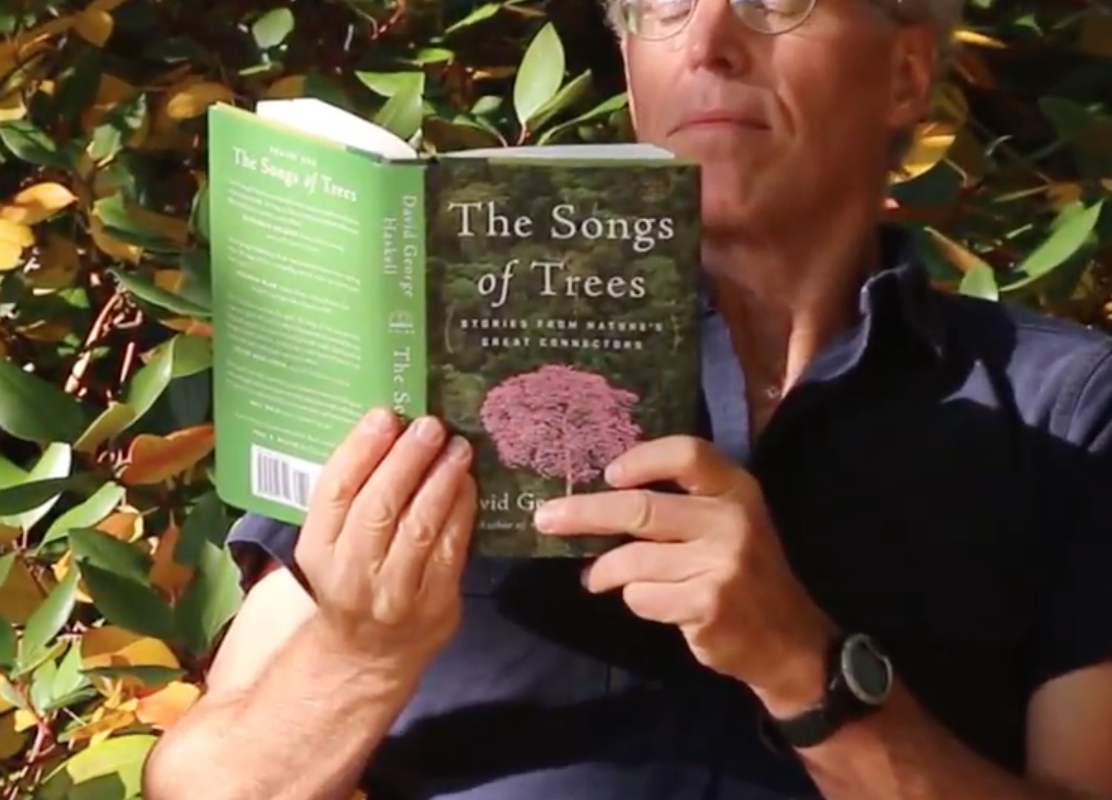 News and Events | Bowdoin College