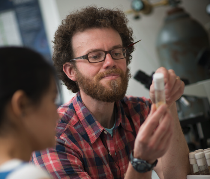 Bowdoin Professor Secures Federal Funding to Study Gene Behavior ...