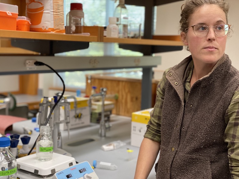 Biologist Patty Jones Seeks Link Between Floral Chemistry and Bee ...