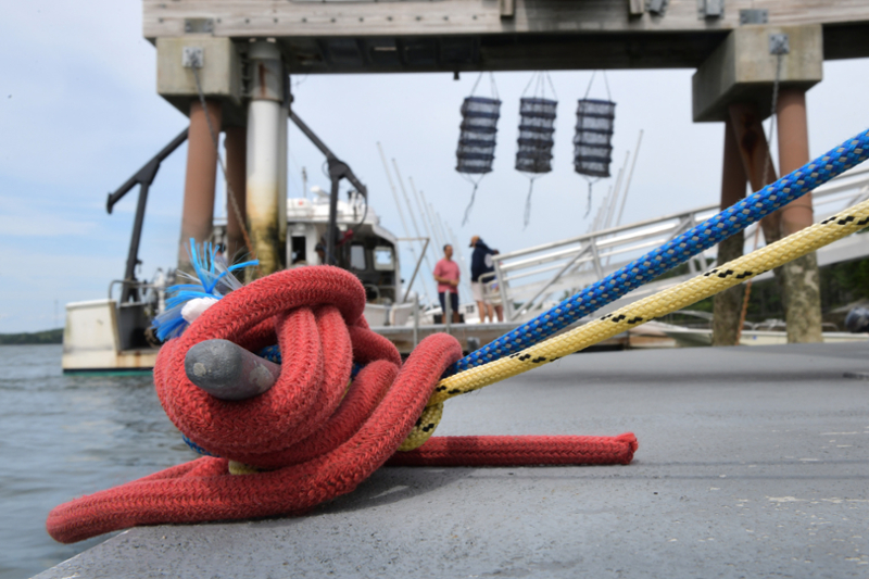 Measuring the Ocean | Bowdoin College