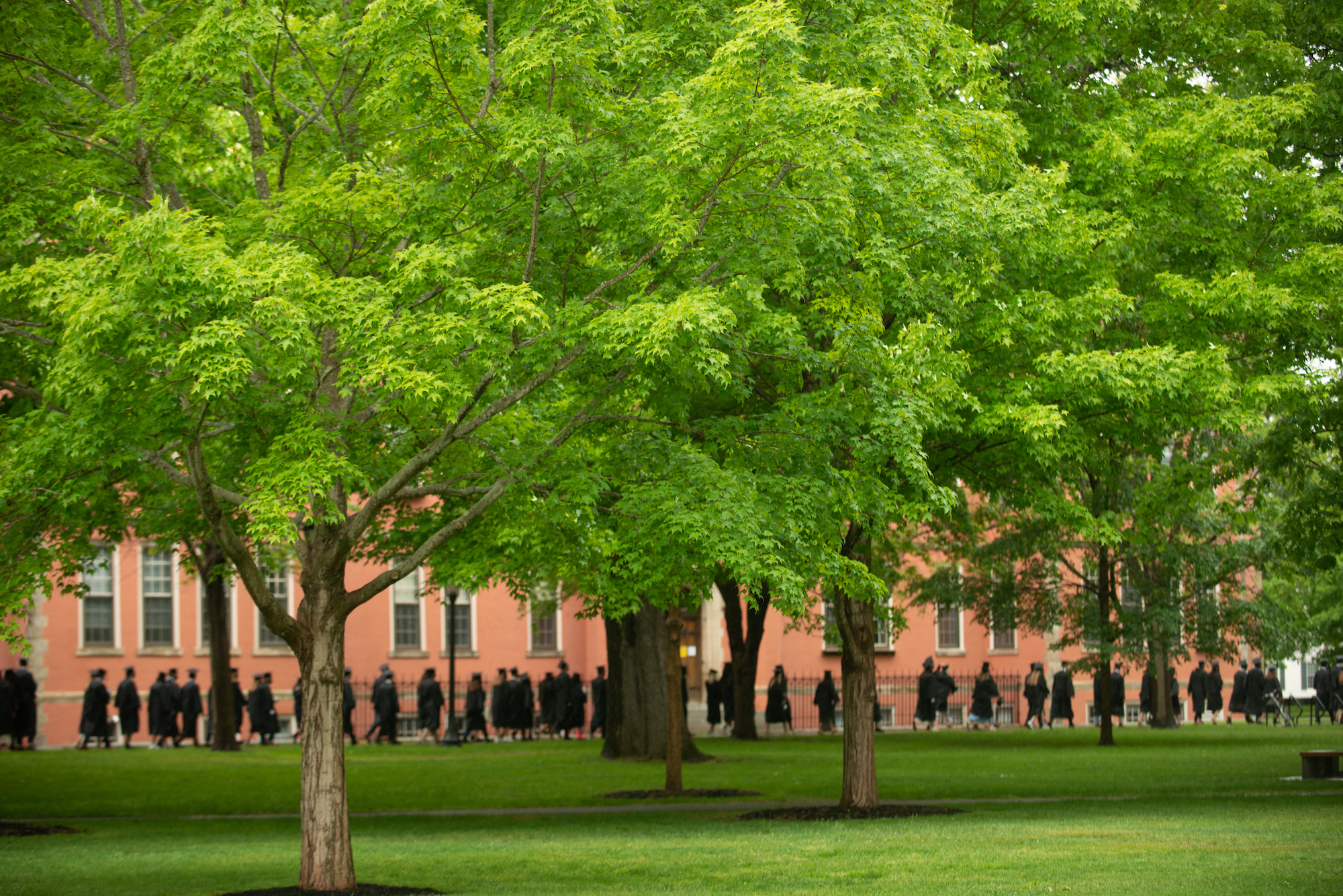 Bowdoin College Celebrates Its 216th Commencement | Bowdoin College