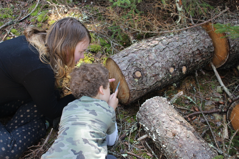Where Ecology Meets Art | Bowdoin College