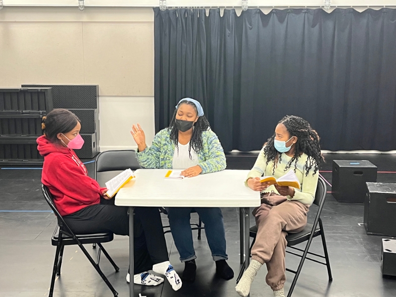 Guest Director Presents Bowdoin Theater Production of ‘A Raisin in the ...