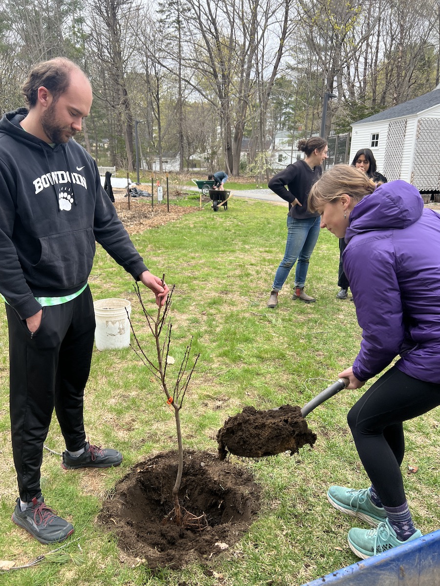 On Arbor Day, Students Plant a Tree and Celebrate Bowdoin's New 'Tree ...