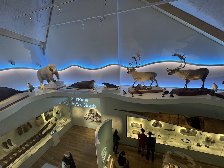 Newly Opened Arctic Museum Surprises, Delights, and Challenges ...
