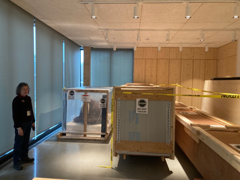 The Big Migration: Excitement as Arctic Museum's New Quarters Take ...