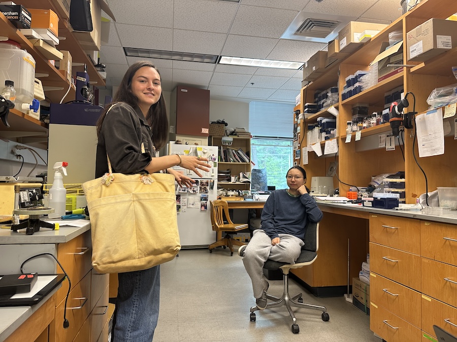 Sticking with It: Student Researchers Make Significant Findings in ...