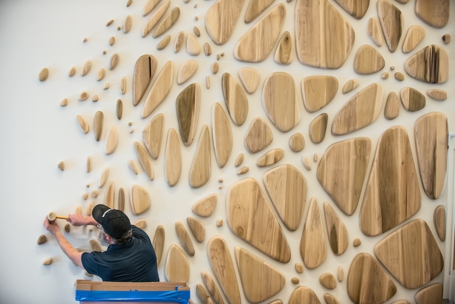 'Northern Sun' Rises in Barry Mills Hall | Bowdoin College