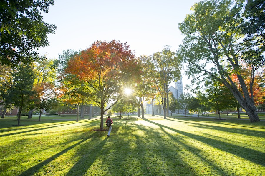 Leaf It to Bowdoin: Explore Campus Trees with New Guide | Bowdoin College