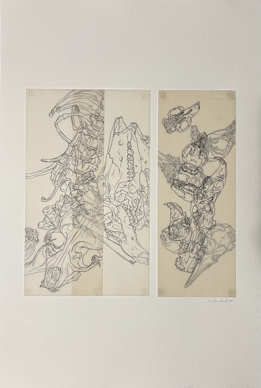 Three Decades of Art and Poetry from Kent Island | Bowdoin College