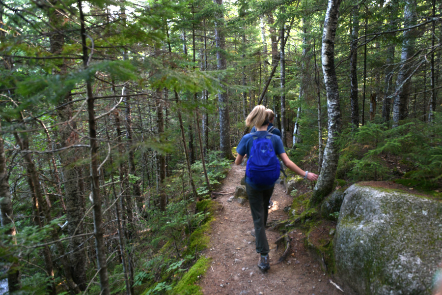 Bowdoin Remains Committed to Finnegan McCoul Woodruff Mountain Center ...