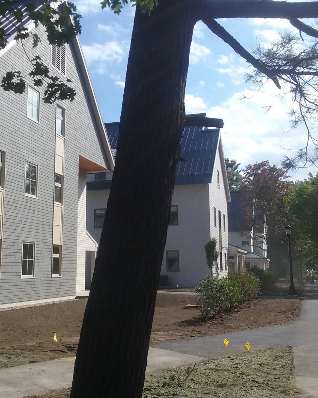 Sustainability | Bowdoin College